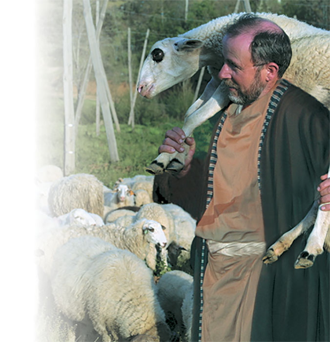 “O Senhor é meu Pastor” – Uma das mais belas simbologias empregadas ...