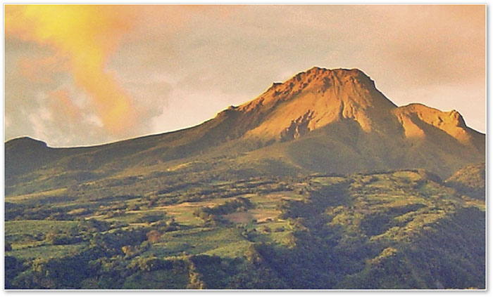 Um fato para meditar… | Revista Arautos do Evangelho